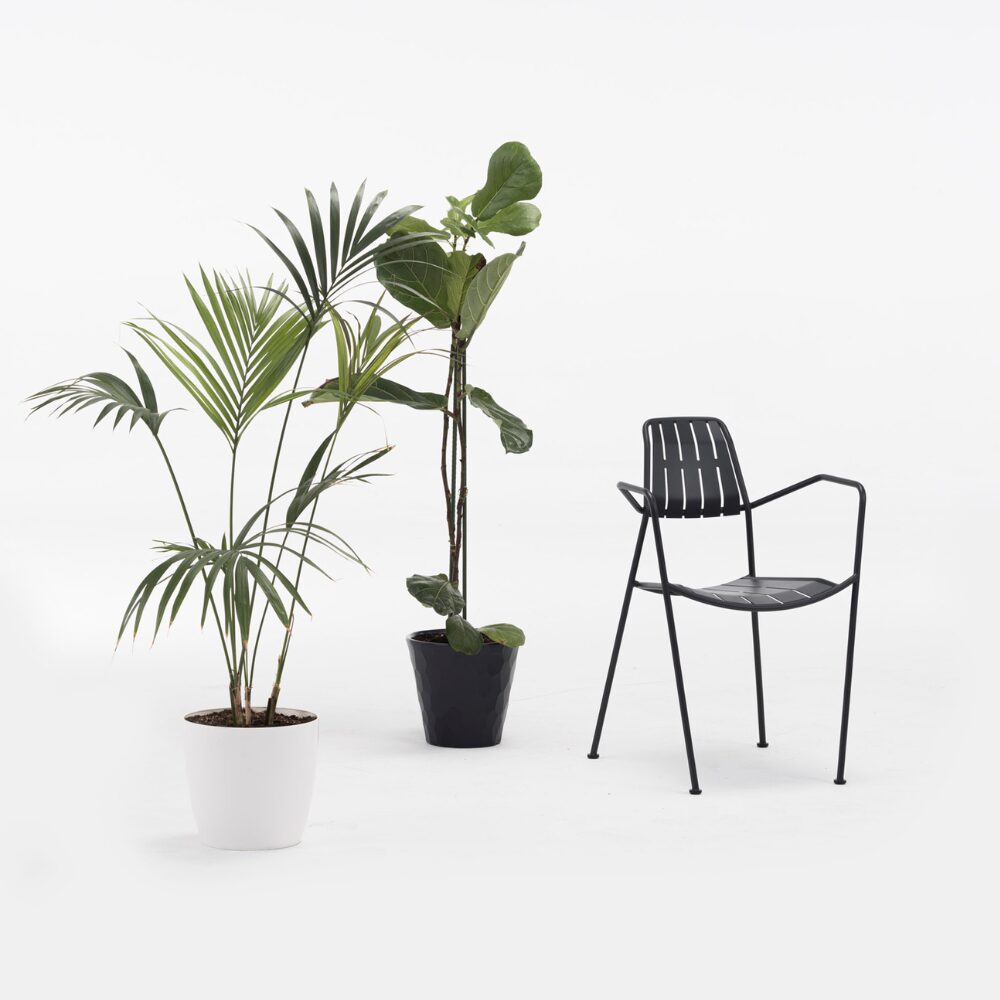 Osmo Chair - Big Frog Furniture
